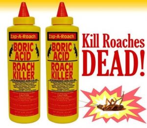 Boric Acid: Important Uses & Applications – StudiousGuy