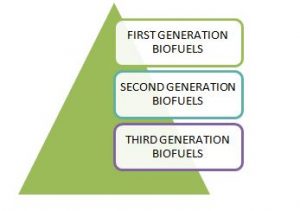 Biofuel: Types, Uses & Examples – StudiousGuy
