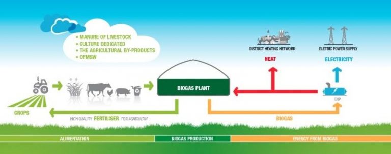 Biofuel: Types, Uses & Examples – StudiousGuy