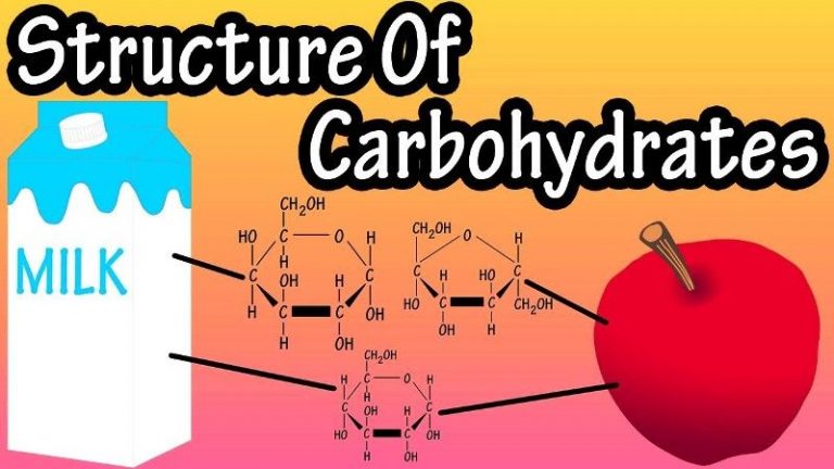Carbohydrates: Structure & Classification – StudiousGuy