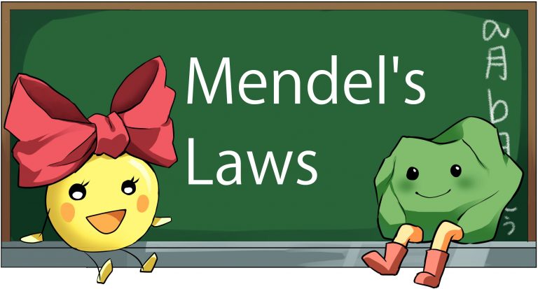 Mendel’s Three Laws – StudiousGuy