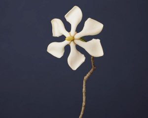 11 Examples of Geometry In Everyday Life – StudiousGuy