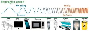 9 Real Life Examples Of Transverse Wave – StudiousGuy