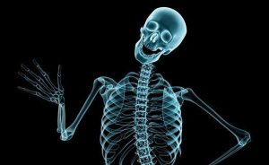 9 Real Life Examples Of Transverse Wave – StudiousGuy