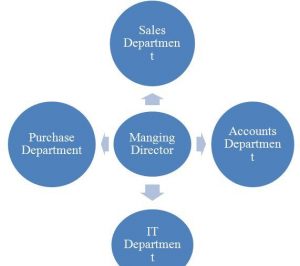 Organizational Design and Structure; Definition, Elements, Types, Pros ...