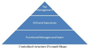 Organizational Design and Structure; Definition, Elements, Types, Pros ...
