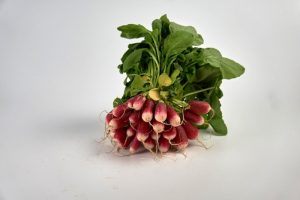 Taproot System: Types, Modifications and Examples – StudiousGuy