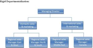 Organizational Design and Structure; Definition, Elements, Types, Pros ...
