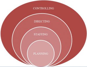 Planning And Decision Making: Characteristics, Importance, Elements, Limitations – StudiousGuy