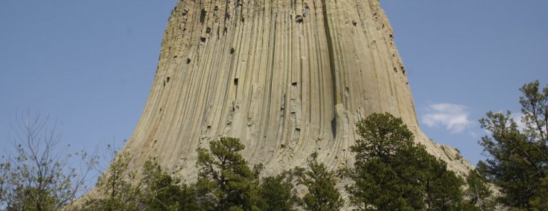 StudiousGuy – Page 165 – Your Study Buddy