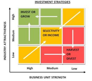 GE McKinsey Matrix (With Examples) – StudiousGuy
