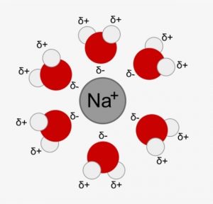 Sodium (Na): Properties & Uses – StudiousGuy