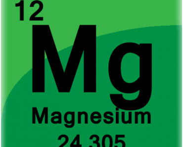 StudiousGuy – Page 146 – Your Study Buddy