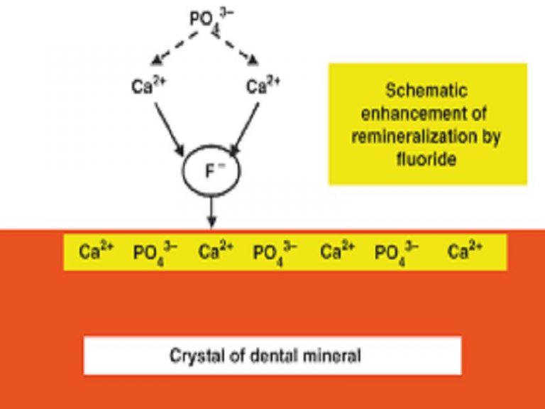Fluorine (F): Properties & Uses – StudiousGuy