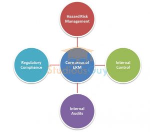 Enterprise Risk Management with Examples – StudiousGuy