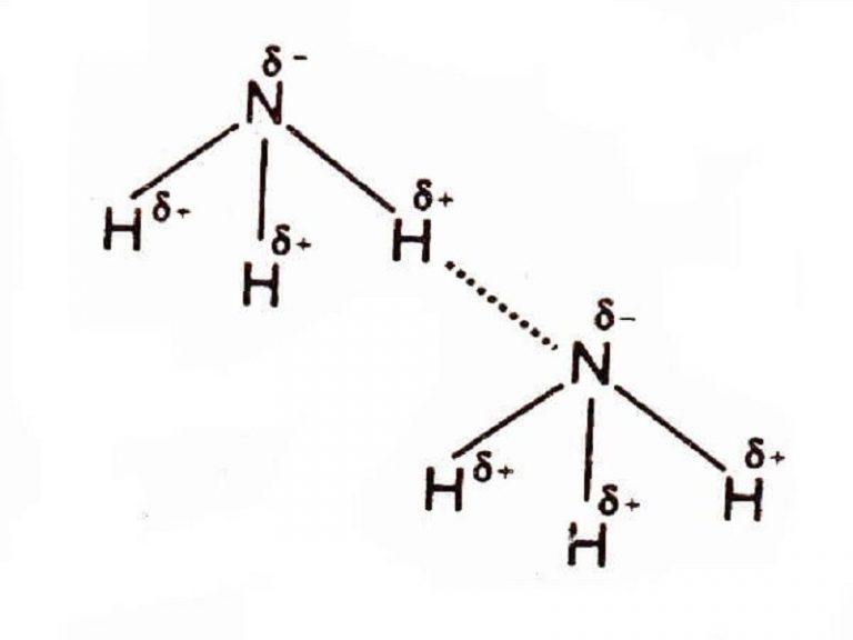 9 Hydrogen Bond Examples in Real Life – StudiousGuy
