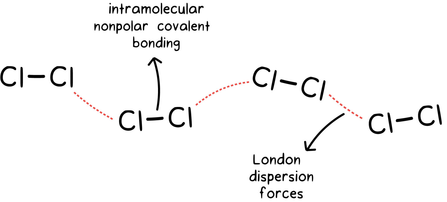 Intermolecular Force: Types and Examples – StudiousGuy Intermolecular Force: Types and Examples – StudiousGuy