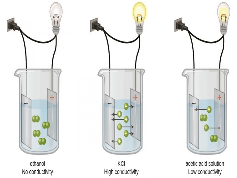 Nonelectrolyte Definition and Examples in Daily Life – StudiousGuy