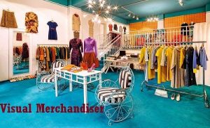 Visual Merchandiser – Roles & Responsibilities – StudiousGuy