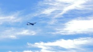 10 Linear Motion Examples in Daily Life – StudiousGuy