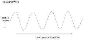 6 Mechanical Waves Examples in Real Life – StudiousGuy