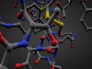 Polymers Used in Daily Life – StudiousGuy