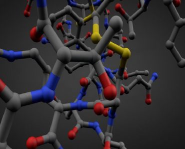 StudiousGuy – Page 88 – Your Study Buddy