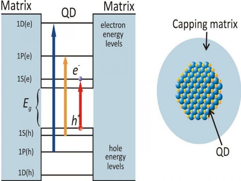 Nanomaterials: Types & Examples – StudiousGuy