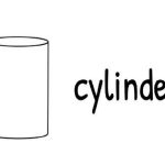 Apple Tree Root System – StudiousGuy