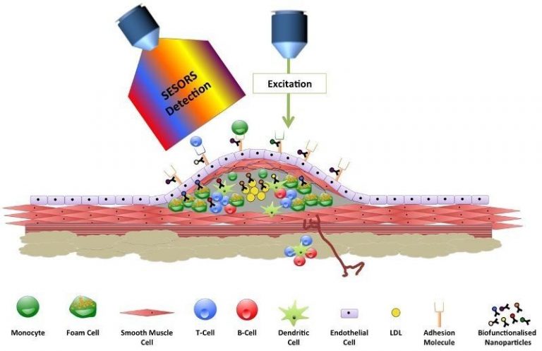 Raman Spectroscopy and its Uses – StudiousGuy