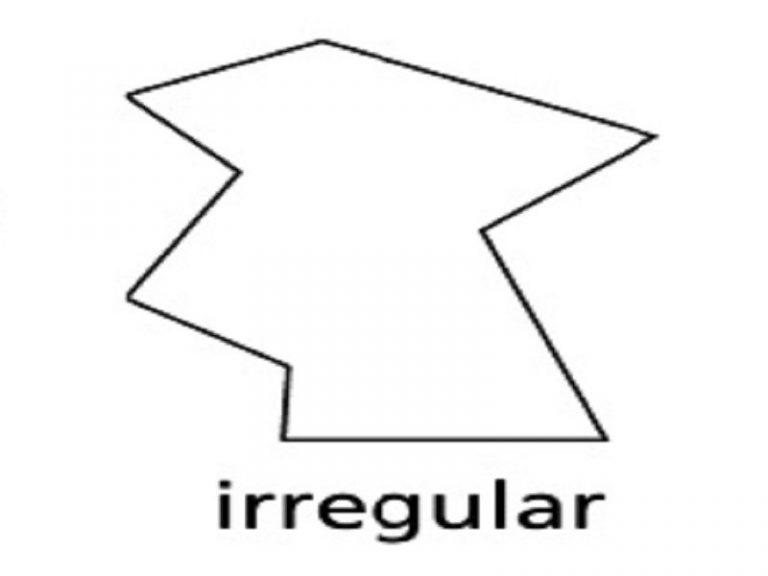 11 Nonagon Examples in Real Life – StudiousGuy