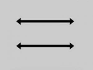 17 Parallel Lines Examples in Real Life – StudiousGuy