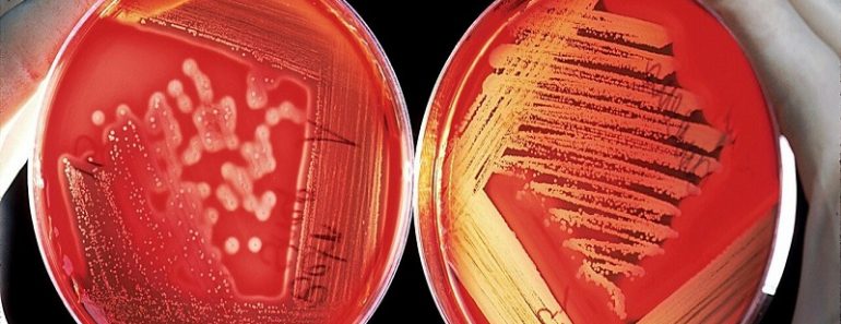 StudiousGuy – Page 89 – Your Study Buddy