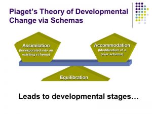 Piaget’s Theory of Cognitive Development Explained – StudiousGuy