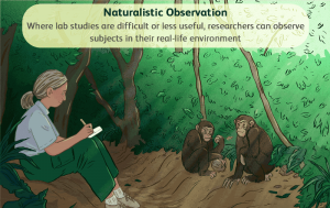 7 Important Methods in Psychology With Examples – StudiousGuy