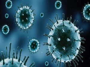 8 Exponential Decay Examples in Real Life – StudiousGuy