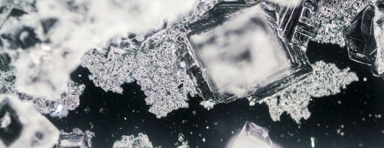 StudiousGuy – Page 62 – Your Study Buddy