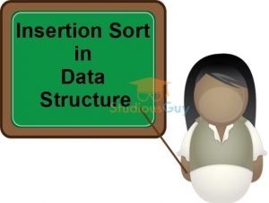 Insertion Sort in Data Structure – StudiousGuy