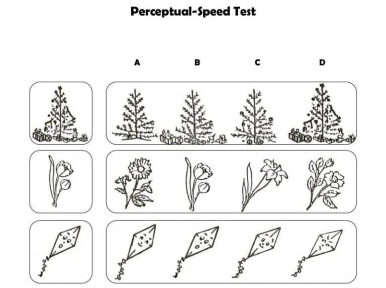 Thurstone’s Multiple Factor Theory (P.M.A.) Explained – StudiousGuy