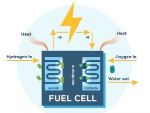 Fuel Cell Working Principle – StudiousGuy