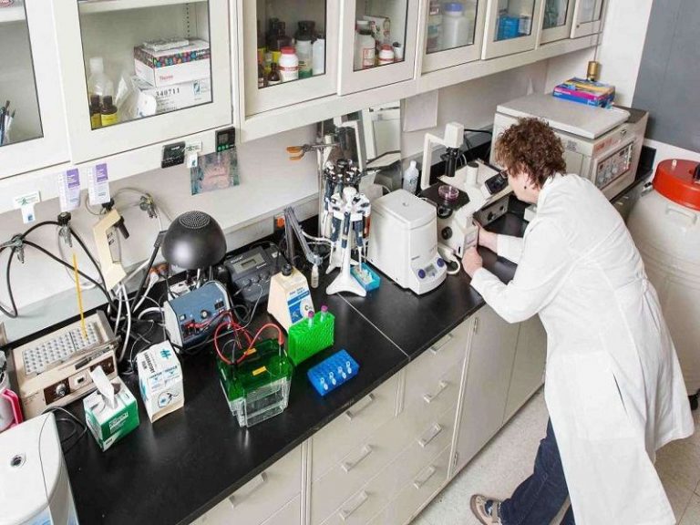 List of Biology Laboratory Apparatus and Their Uses – StudiousGuy