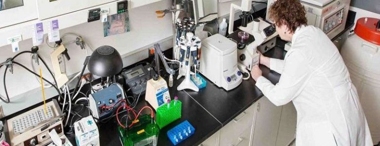 StudiousGuy – Page 48 – Your Study Buddy