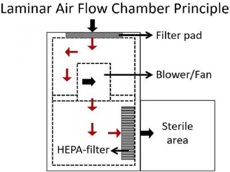 Laminar Air Flow Working Principle – StudiousGuy Laminar Air Flow Working Principle – StudiousGuy