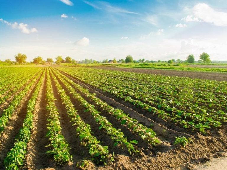 24 Direct Proportion Examples in Real Life – StudiousGuy