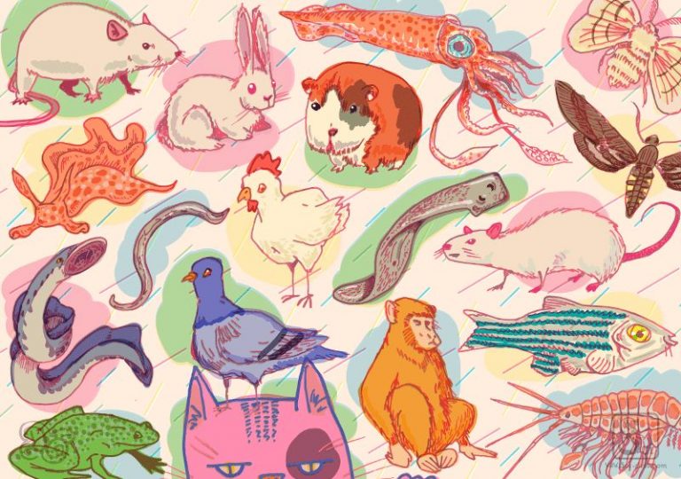 7 Examples of Multicellular Organisms as Research Models in ...