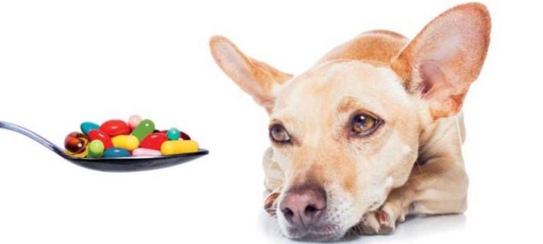 8 Placebo Effect Examples in Real Life – StudiousGuy