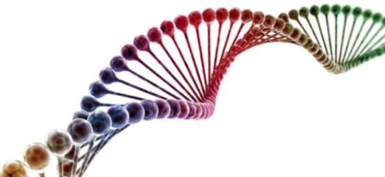 8 Placebo Effect Examples in Real Life – StudiousGuy