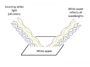 Examples of Objects That Reflect Light – StudiousGuy