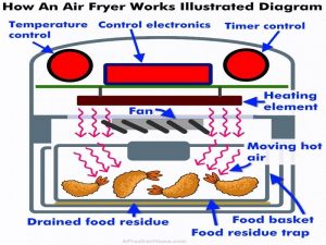 Working Principle of Air Fryer – StudiousGuy