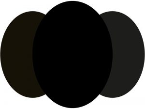 Examples of Objects That Absorb Light – StudiousGuy